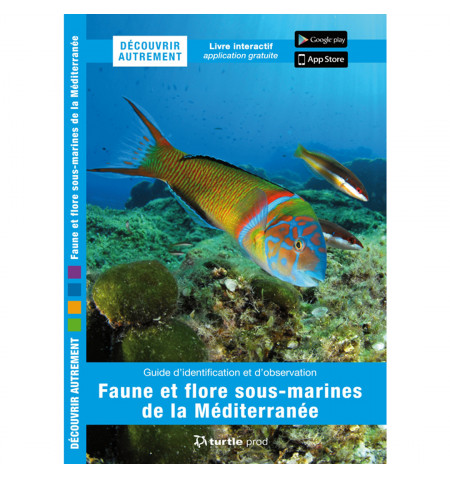 Découvrir Autrement - Faune et flore sous-marines de la Méditerranée – Diveinprogress.com